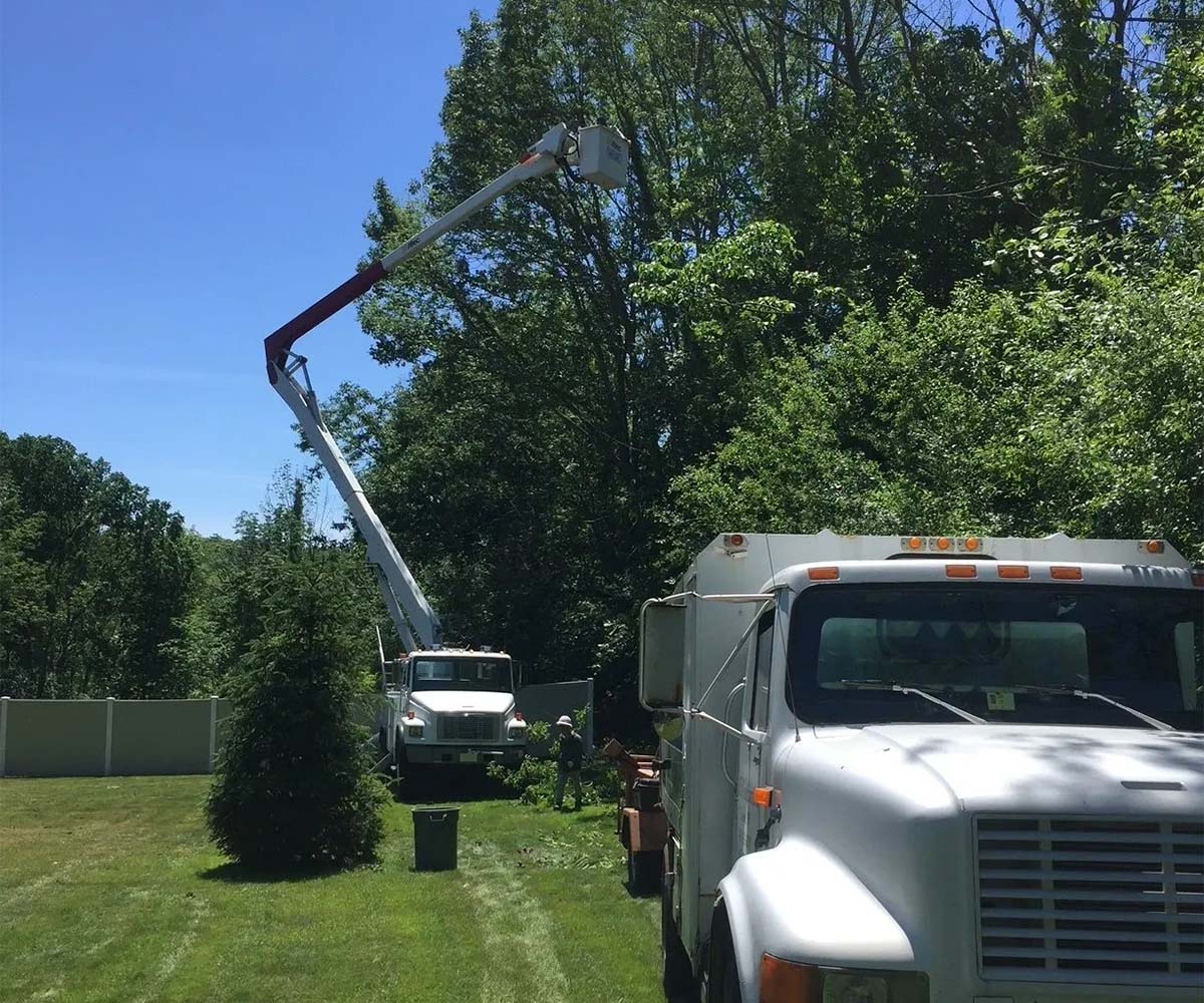 Tree Trimming - JKE Contracting Inc.